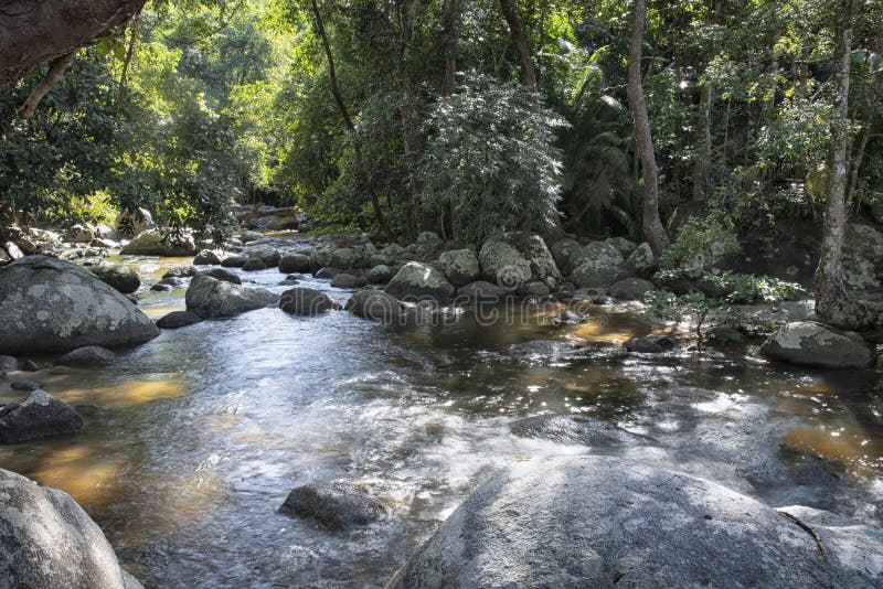 Water Flowing through the Rocky River Stream in the Forest. Stock Photo ...