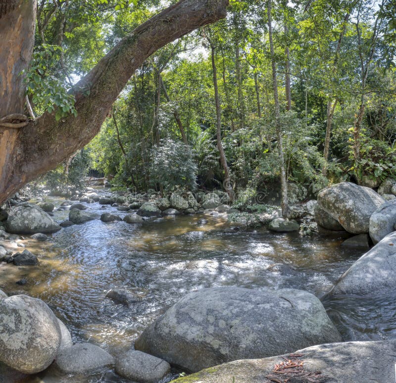 Water Flowing the Rocky River Stream in the Forest. Stock Photo - Image ...