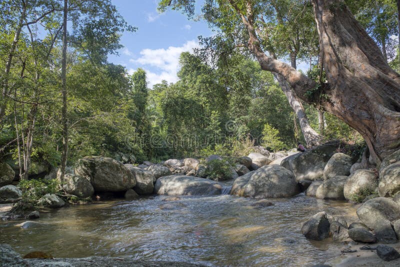Water Flowing through the Rocky River Stream in the Forest. Stock Image ...