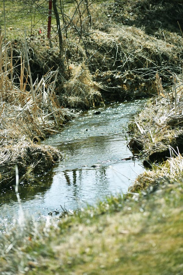Rushing water in a stream stock image. Image of rushing - 114008893