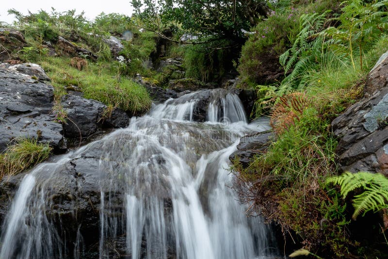 Water Flowing in a Small Creek. Nature Background Stock Image - Image ...