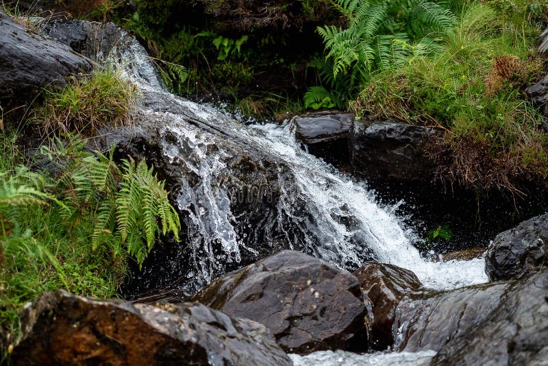 Water Flowing in a Small Creek. Nature Background Stock Photo - Image ...