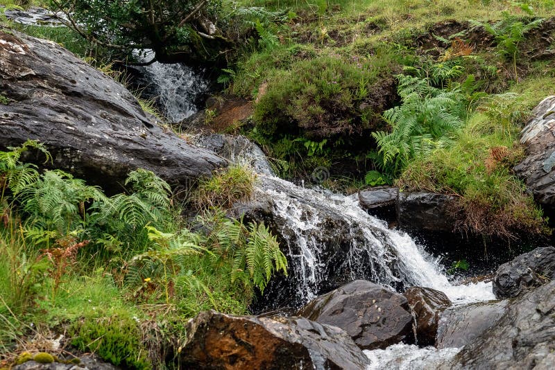 Water Flowing in a Small Creek through a Stones. Nature Background ...