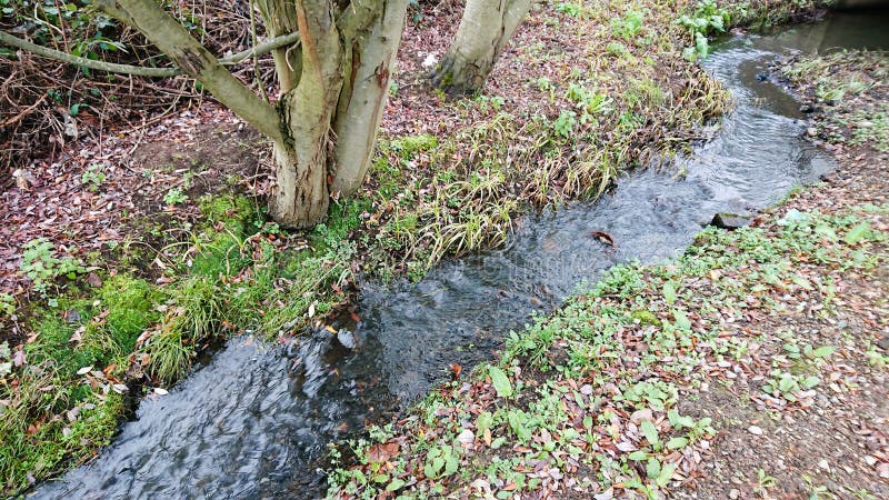 Natural Flowing Water stock photo. Image of water, small - 137099022