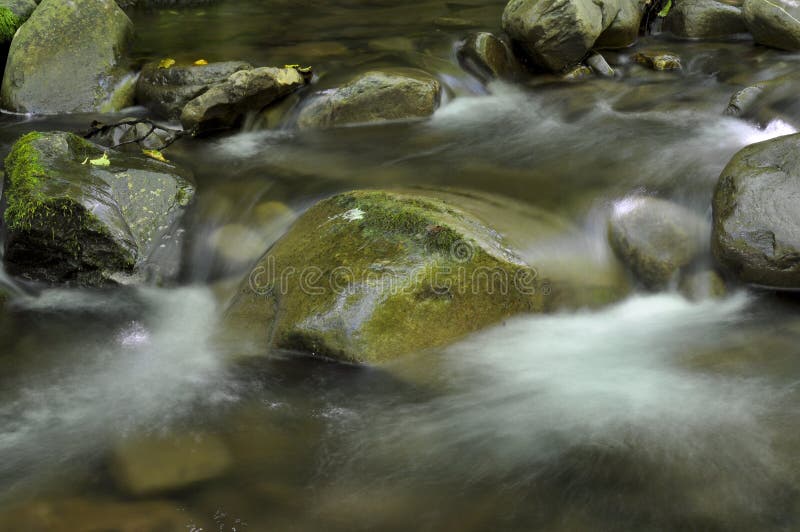 Water Flowing between Stones Stock Photo - Image of wild, fall: 43910758