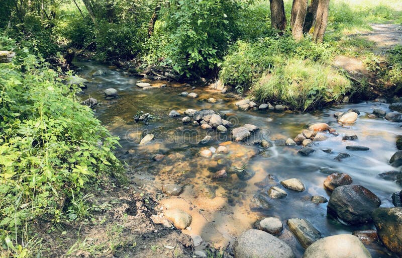 Water Flowing Stream in Forest Stock Image - Image of outdoor, season ...