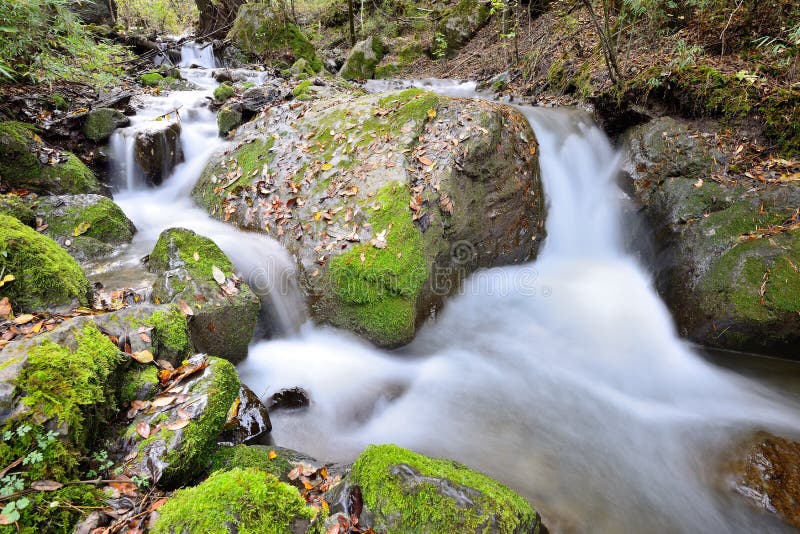 Water flowing stream stock photo. Image of scenics, forest - 34896620