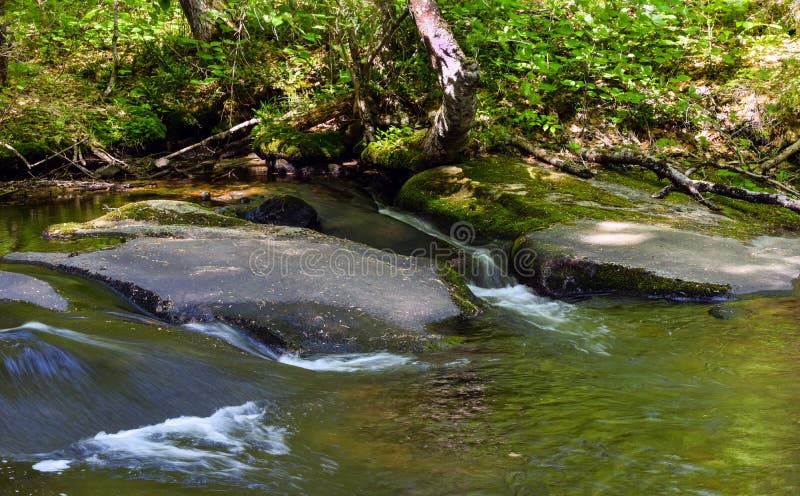Flowing Water of Willard Brook Stock Image - Image of stream, boulders ...