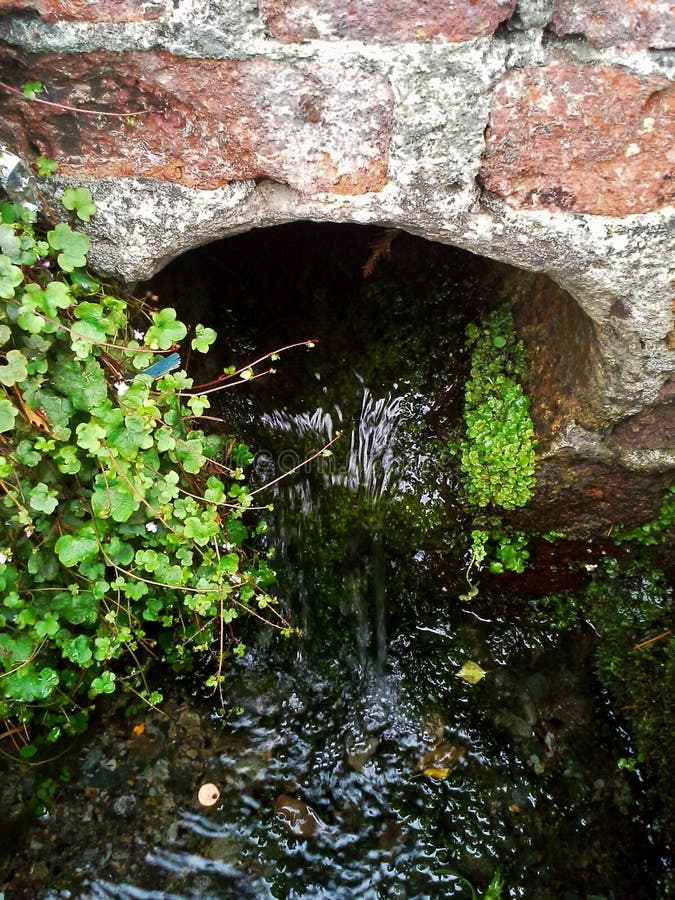 Water Flowing Though Brick Drain Stock Image - Image of nature, plant ...