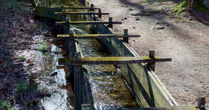 Water Flowing Toward Camera in an Old Wooden Sluice Stock Video - Video ...