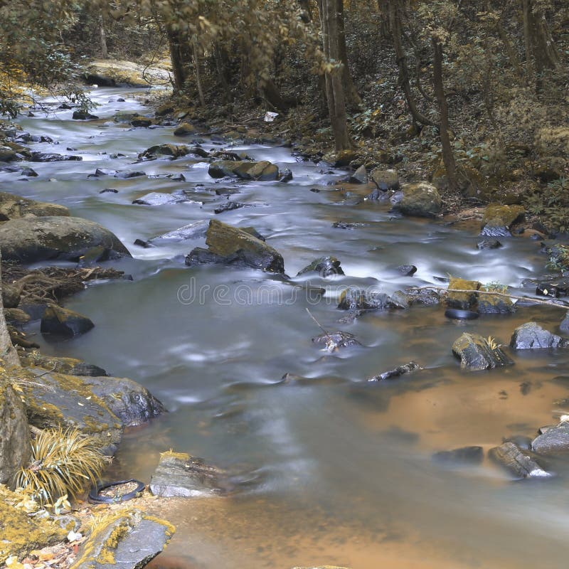 Water flowing stock photo. Image of moss, scene, flowing - 57560856