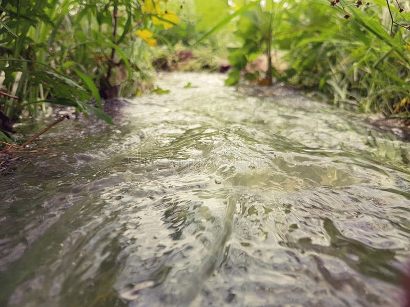 Water stock image. Image of nice, water, flowing - 125052443