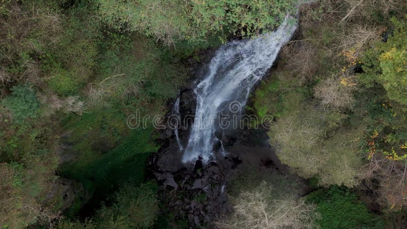 Water Flowing through the Waterfalls in the Forest during Daytime Stock ...