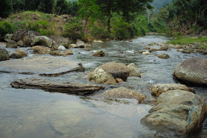 Water Flows Over the Group of Stones Along the Stream into the Tropical ...