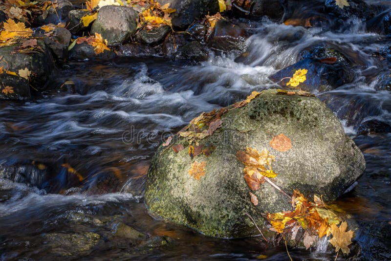Water Flows Around the Boulder in the Autumn River. Stock Photo - Image ...