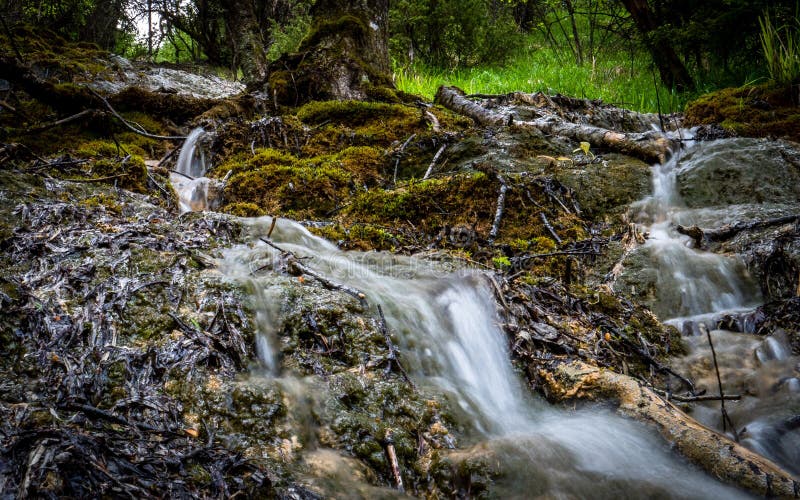 Water flows down moss hill stock photo. Image of leaves - 117721688