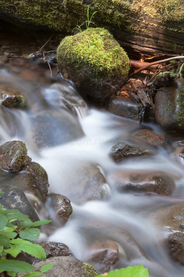 Water Flows Down Mossy Brook Wild Forest Stream Waterfall Stock Image ...