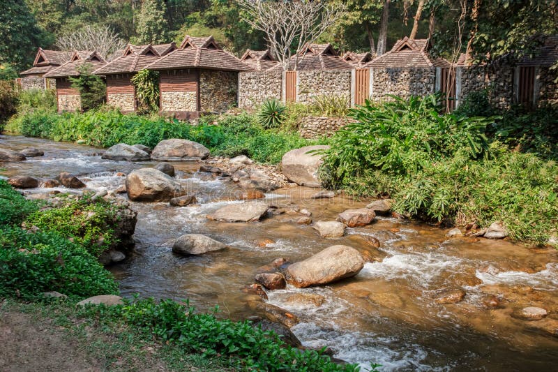 The Water that Flows Down from the Rain Forest Stock Image - Image of ...