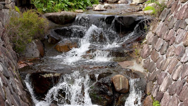 Small Waterfall Flows Over Rocks Under Lush Under Green Leaves in Slow ...
