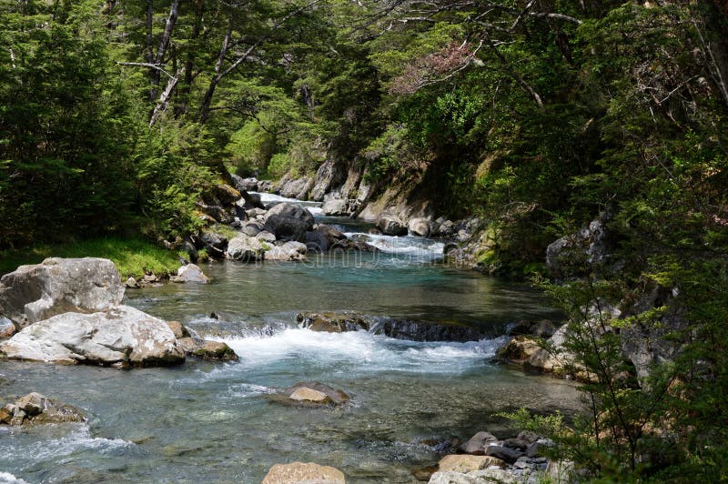 Water Flows Down a Tree Lined River. Stock Image - Image of deep ...
