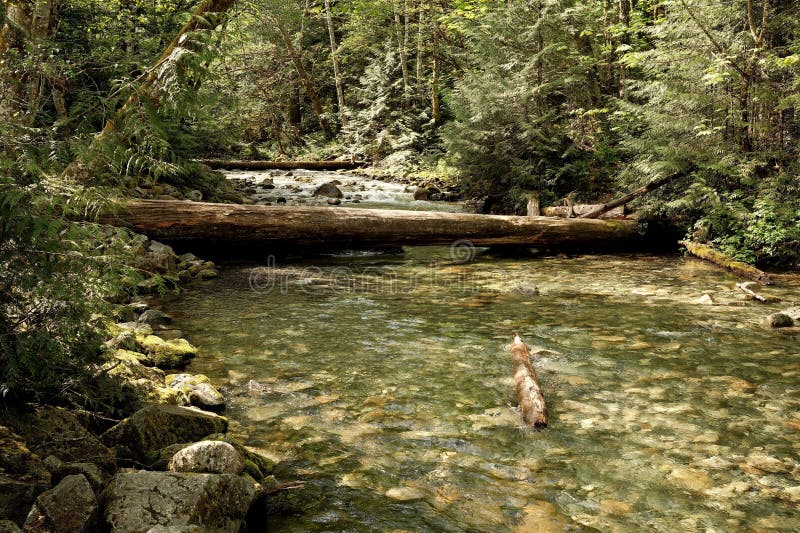 Water Flows Downstream in Canada National Parks Stock Image - Image of ...