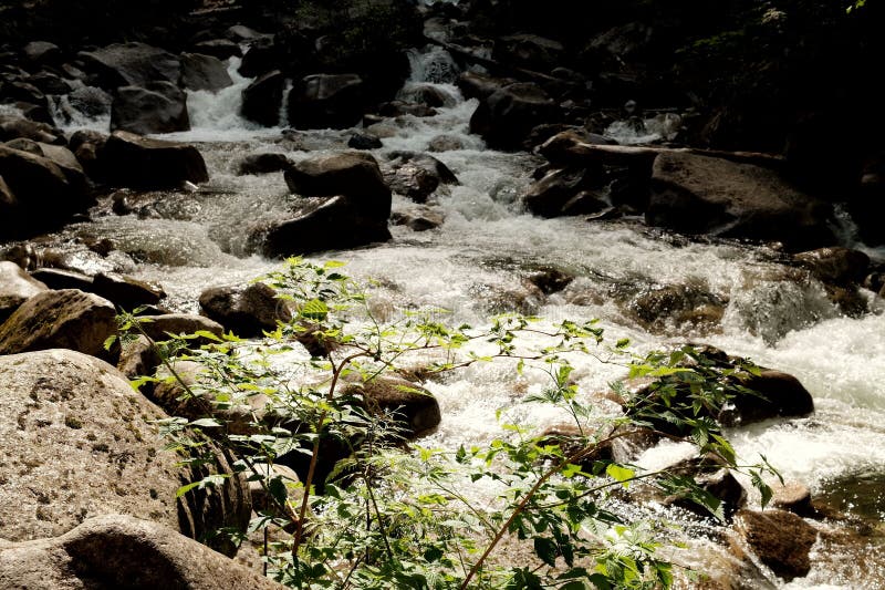 Water Flows Downstream in Canada National Parks Stock Photo - Image of ...