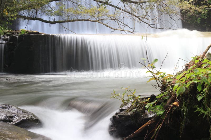 Water flows far stock photo. Image of forest, longexposure - 261751682