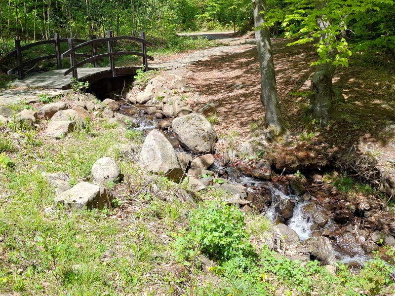 Water Flows through the Forest. in Maramures County, Romania Stock ...