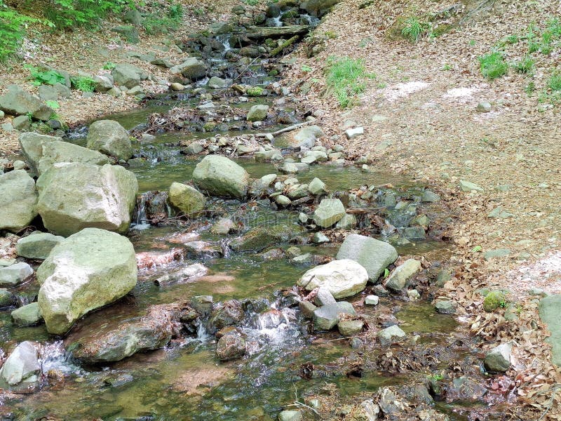 Water Flows through the Forest. in Maramures County, Romania Stock ...