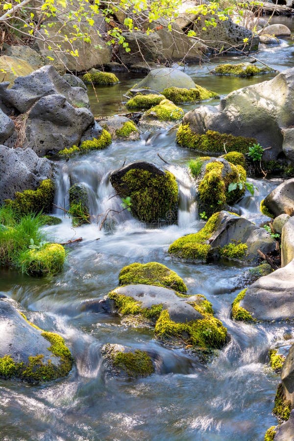 Water Flows from a Water Fountain in a Park Stock Photo - Image of cool ...