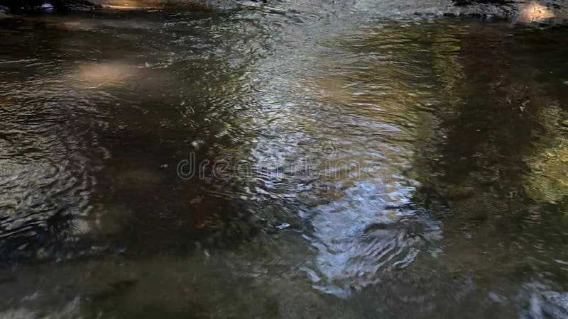 Water Flows Over Rocks, Water Flowing in the Forest. Stock Video ...