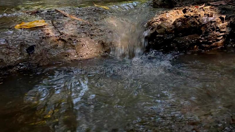 Water Flows Over Rocks, Water Flowing in the Forest. Stock Footage ...