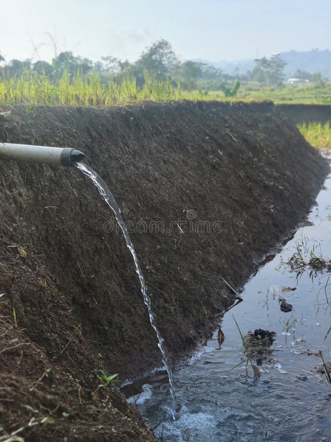 Water Flows from a Pipe into a Flooded Ditch. Stock Image - Image of ...