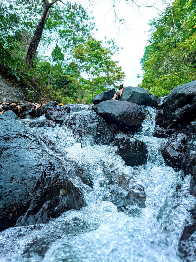 Water flows in the river stock photo. Image of flows - 281085902