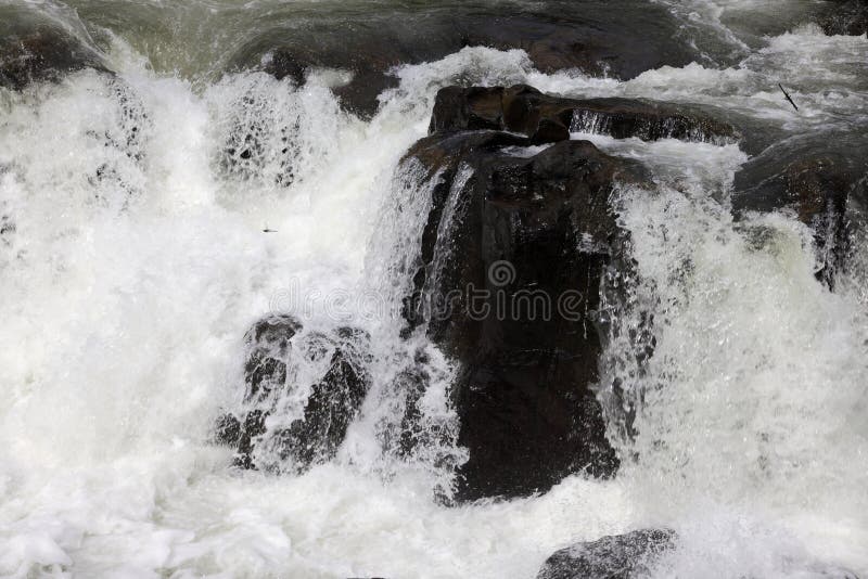 Water Flows on a Rocky Surface Stock Photo - Image of environment ...