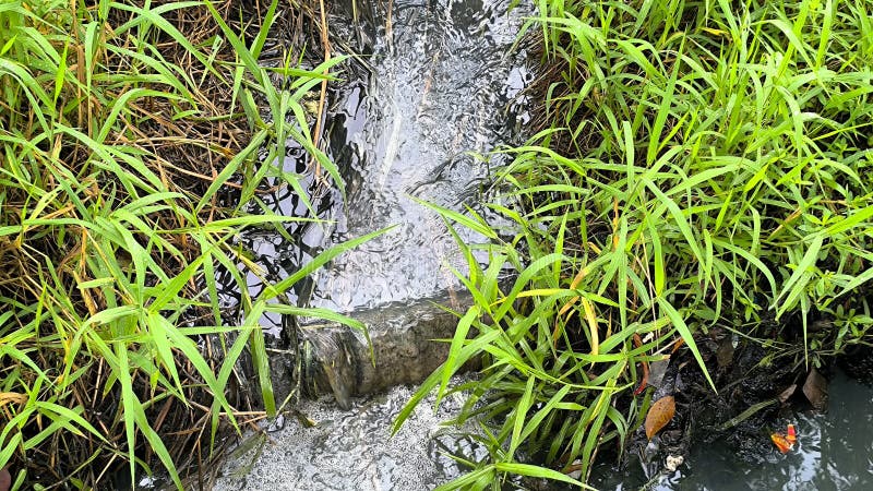 Water Flows from a Small Gutter and Grass is Visible Around it. Stock ...