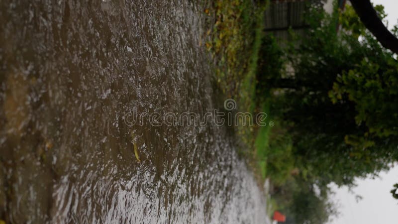 Water Flows and Splashes after a Heavy Rain, Flood. Vertical View, Slow ...