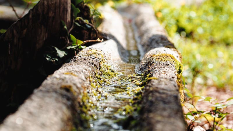 Water that Flows from the Spring in the Mountains and Descends through ...