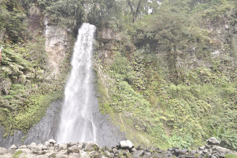 The Water that Flows from the Spring is Very Cool Stock Photo - Image ...
