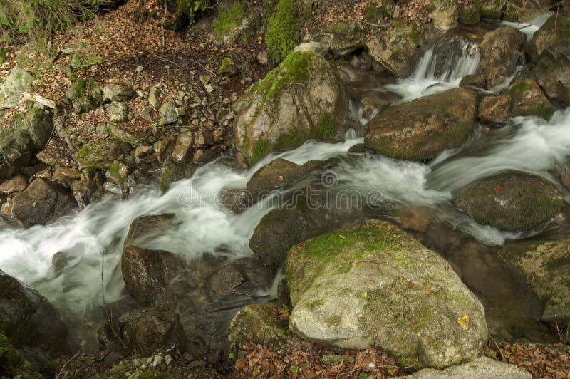 Water flows in a stream stock photo. Image of pond, river - 275851314