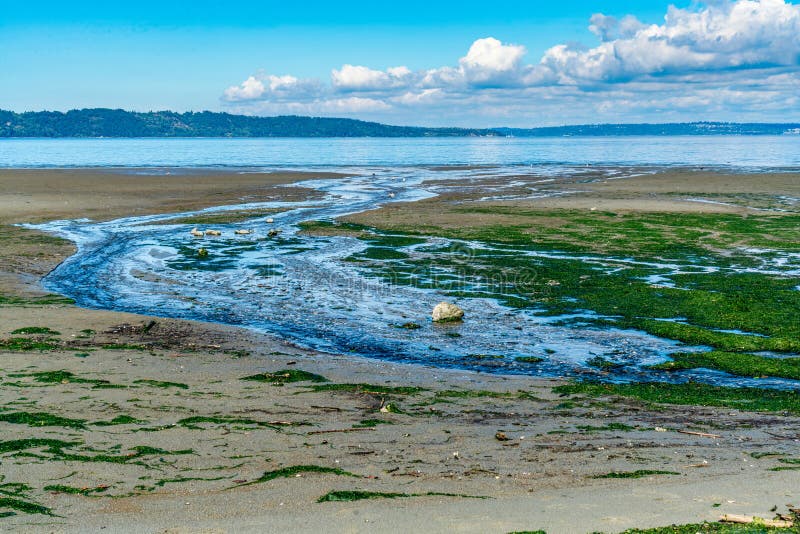 Beach Park Dash Point 4 stock photo. Image of beach - 339002994