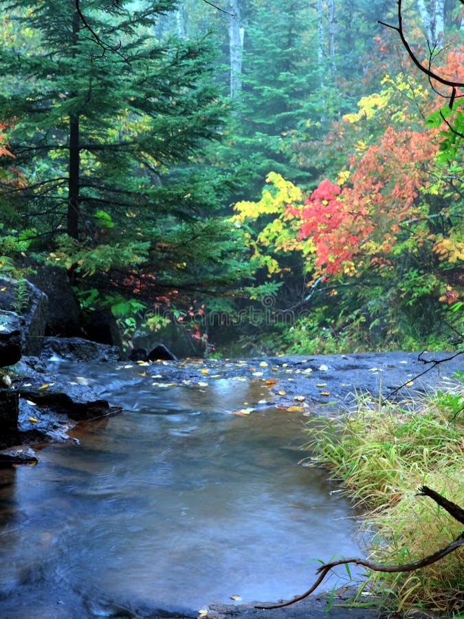 1,918 Moving Images Fall Leaves Stock Photos - Free & Royalty-Free ...