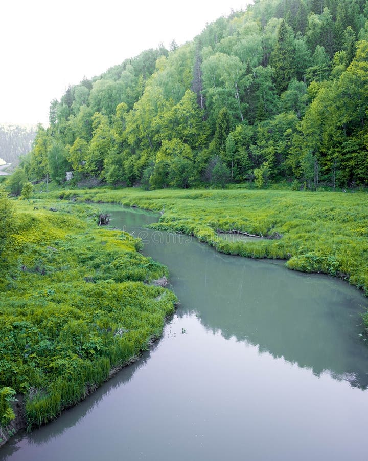 White river stock image. Image of white, forest, river - 114498719
