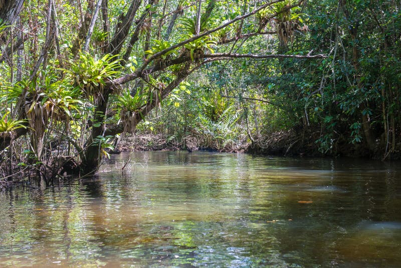 Water Forms and Effects All Over the Beach Stock Photo - Image of ocean ...