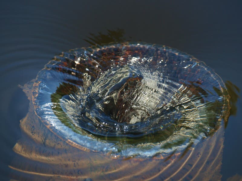 Water Forms Spectacular Patterns at the Sandy Beach Stock Image - Image ...