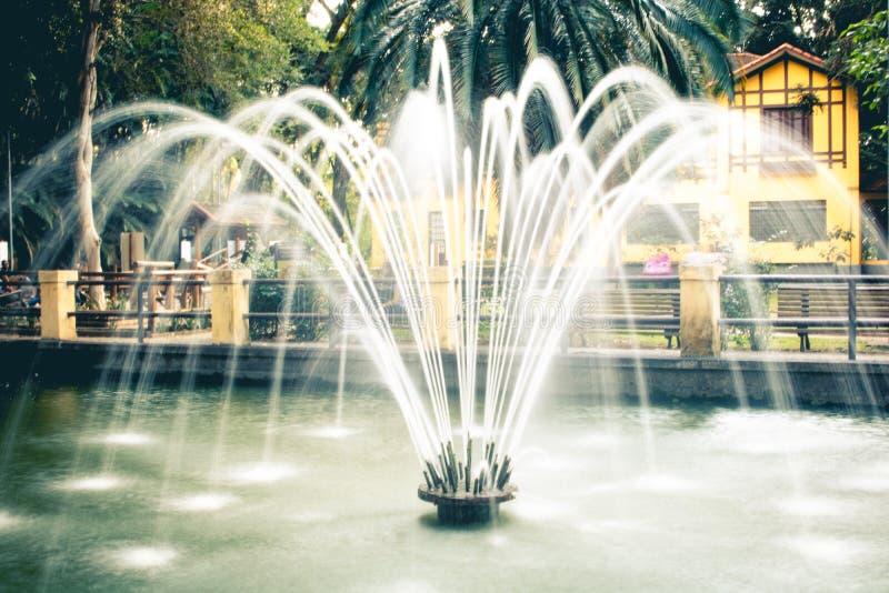Water, Fountain, Water Feature, Tree Picture. Image: 136081749