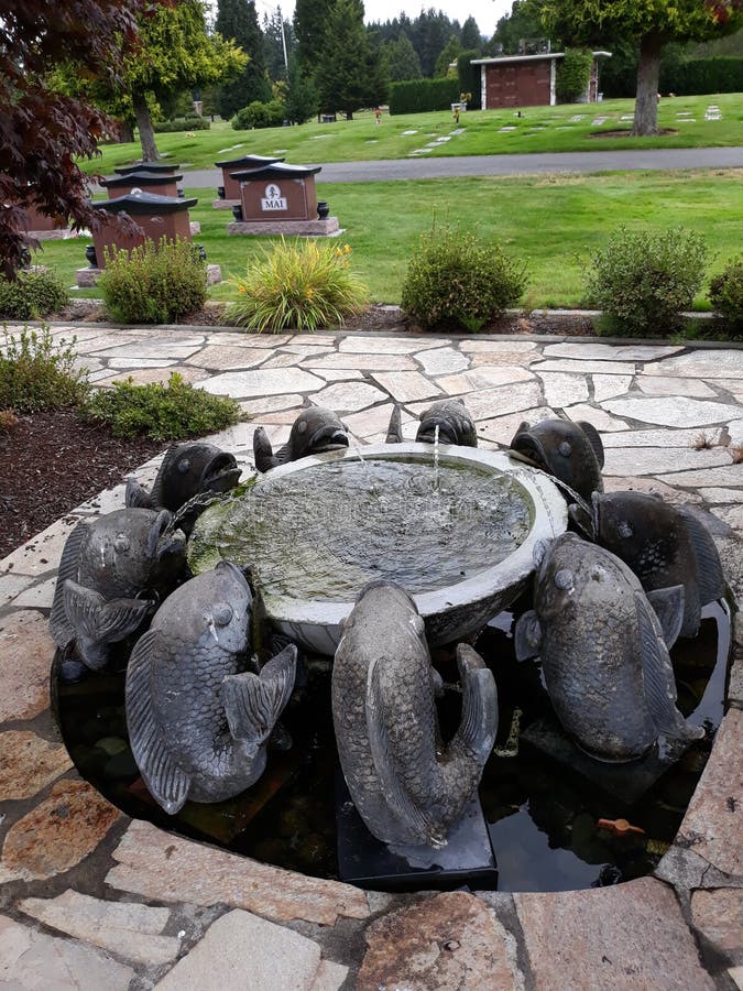 Fountain Fish Swimming Upside Down Stock Image - Image of building ...