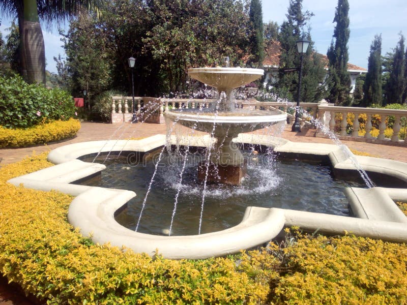 Water fountain stock photo. Image of water, green, watercourse - 105394960