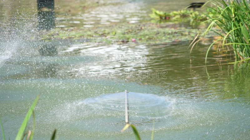 Water Fountain with Green Screen Background Stock Video - Video of ...