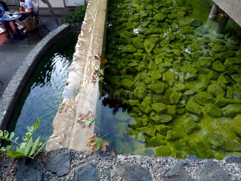 Fountain with Green Water and Restaurant Terrace Blow it. Stock Photo ...